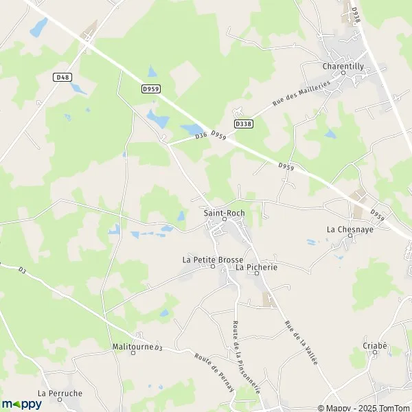 Plan Saint-Roch : carte de Saint-Roch (37390) et infos pratiques